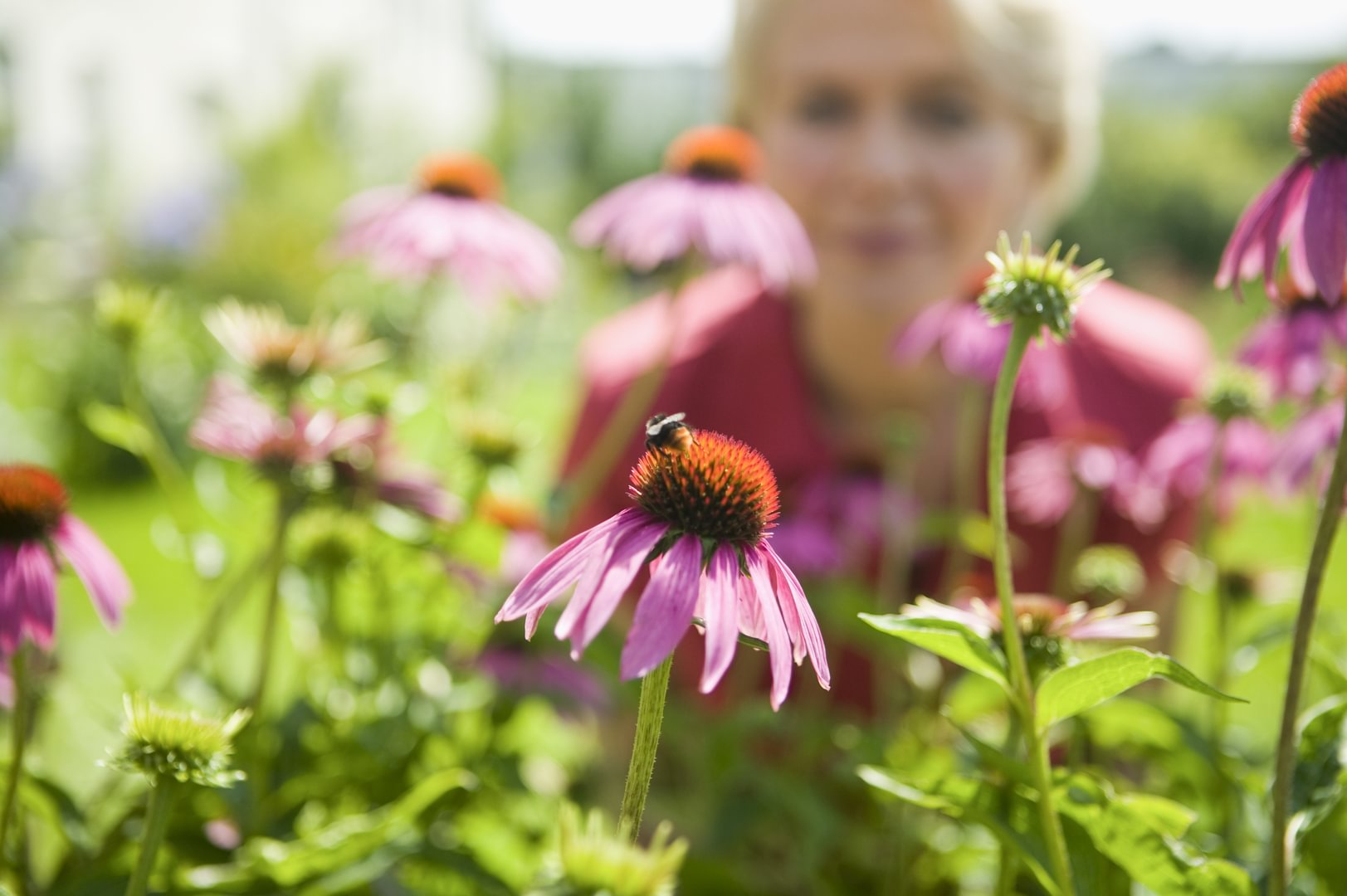 Home - whg Housing Association